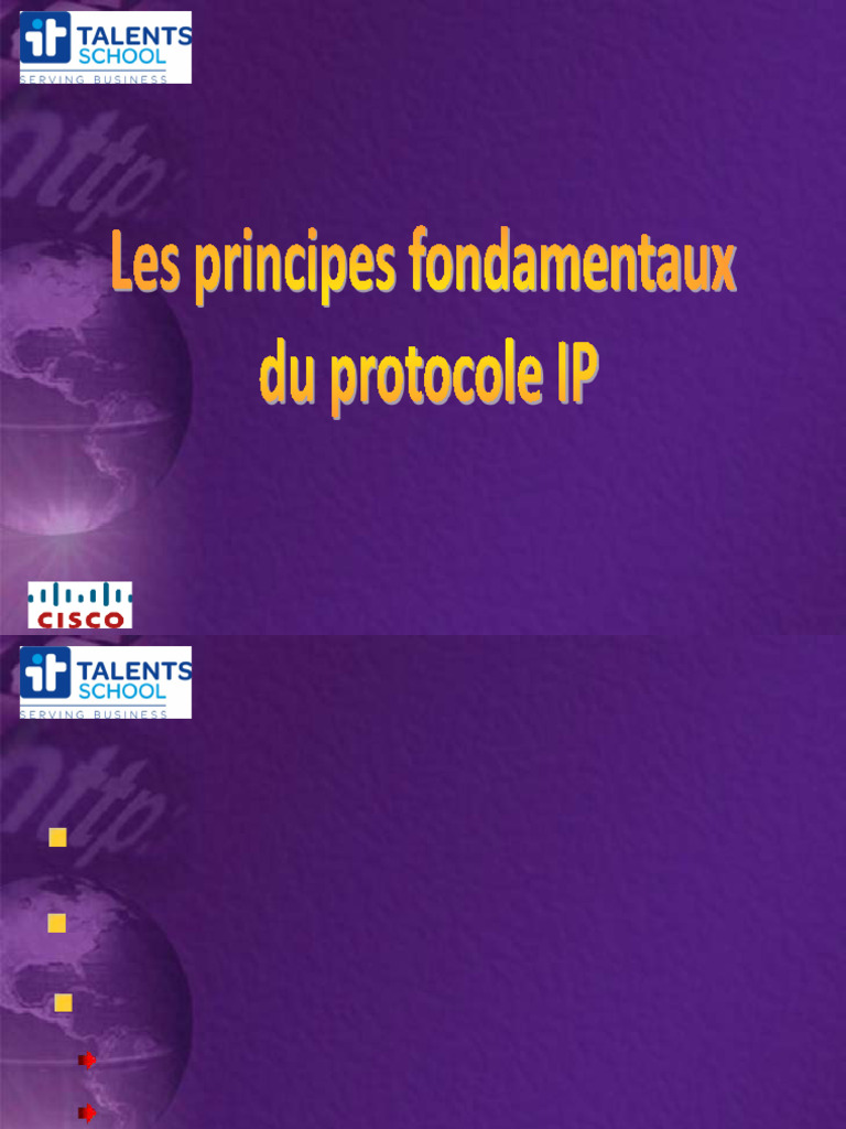 CCNAX4 | PDF | Domain Name System | Computer Science