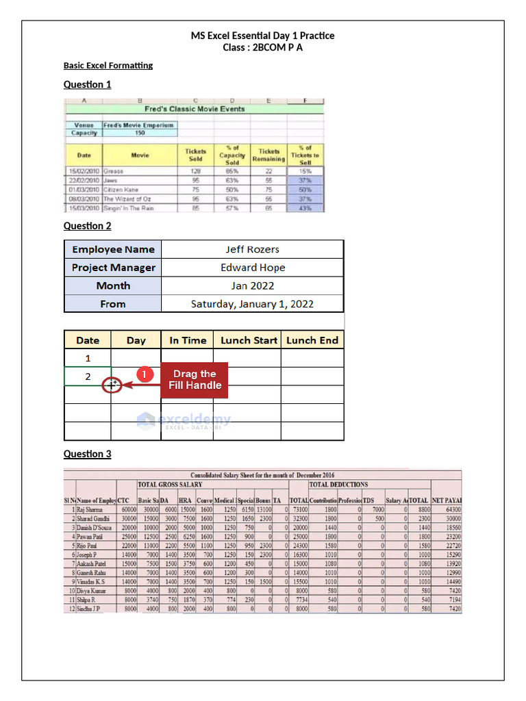 Set 2Excel Essential Day 1 Practice | PDF