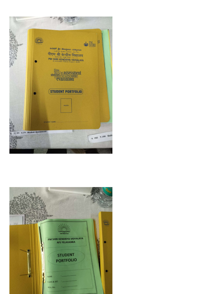 Sample Portfolio | PDF