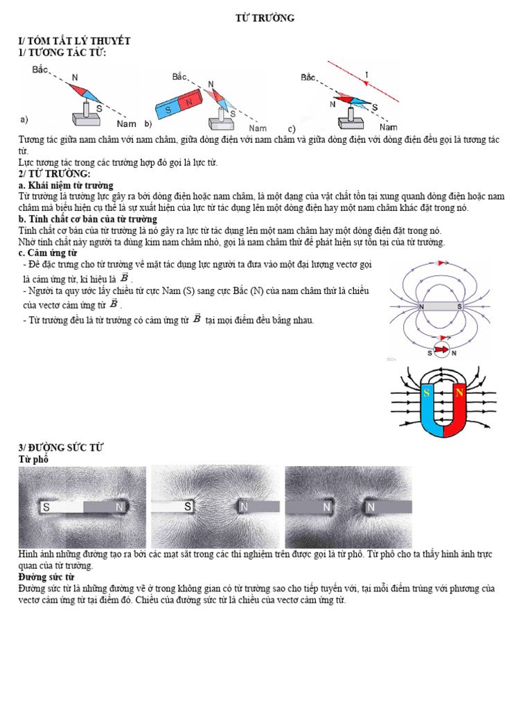 BT Bai Tu Truong | PDF