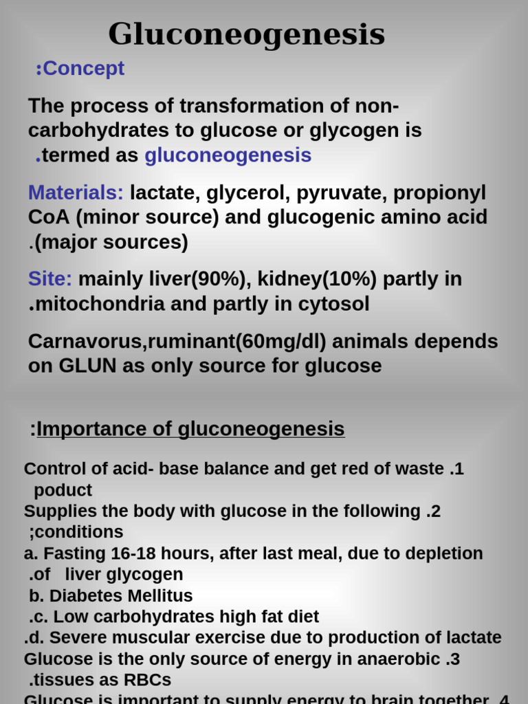 Gluconeogenesis: Key Processes and Sources | PDF | Glycogen | Glycolysis