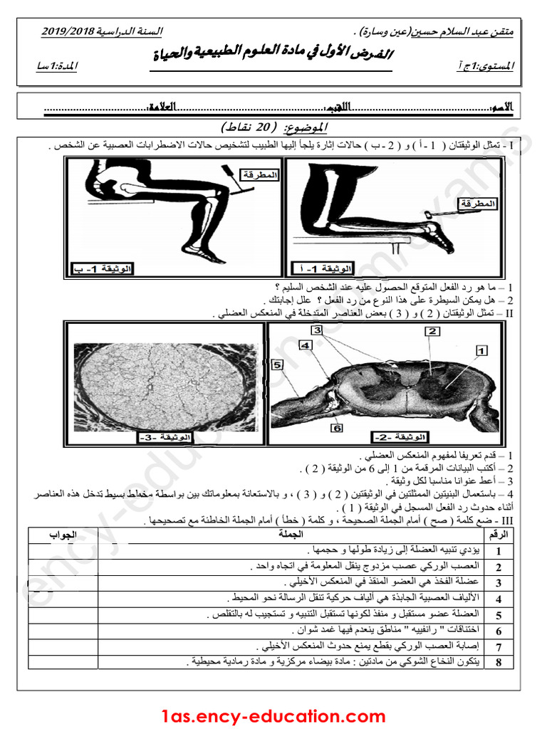 Dzexams 1as Sciences TCL - d1 20191 1497551 | PDF