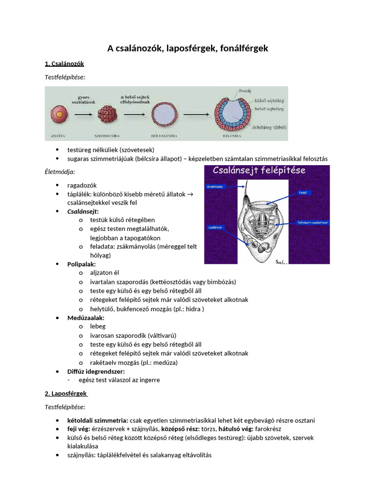 A Csalánozók És Férgek | PDF