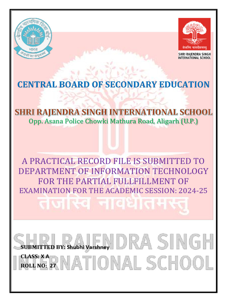 Class 10 Practical File. | PDF | Spreadsheet | Worksheet