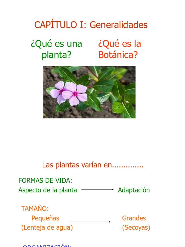 Cap. I Bo - Generalidades | PDF