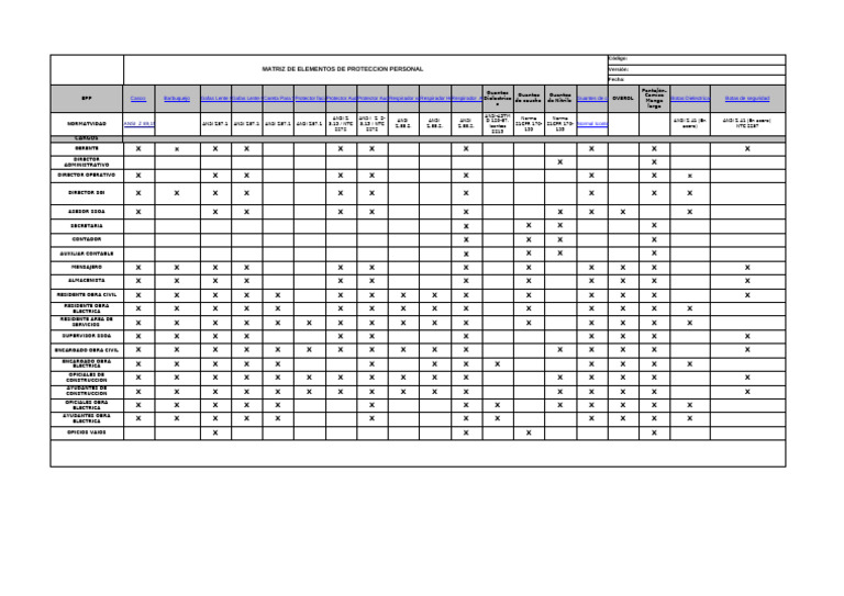Matriz de EPP por Cargo y Normativa ANSI | PDF