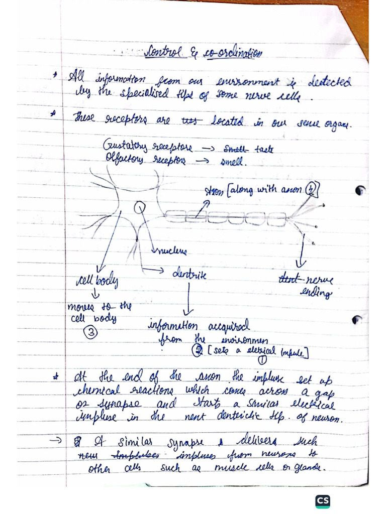 Control Coordination Handwritten Notes | PDF
