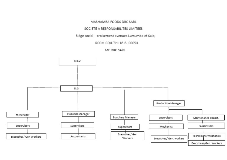 Mashamba Foods DRC Organizational Structure | PDF