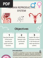 Human Reproductive Systems PowerPoint | PDF | Human Reproduction ...