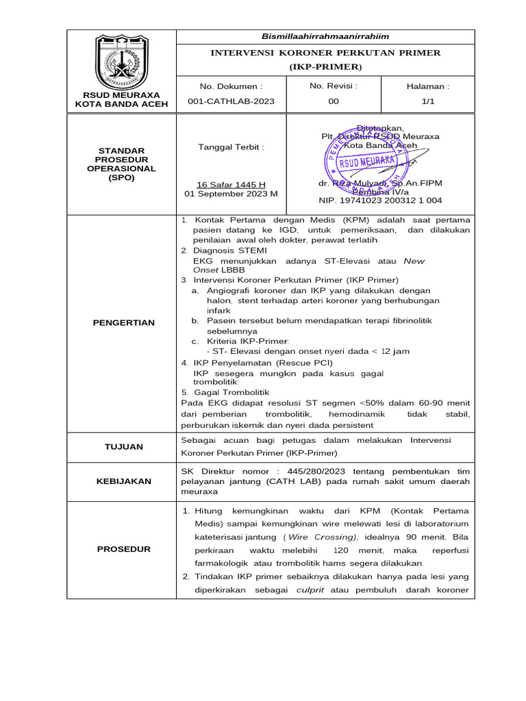 Prosedur IKP Primer RSUD Meuraxa | PDF