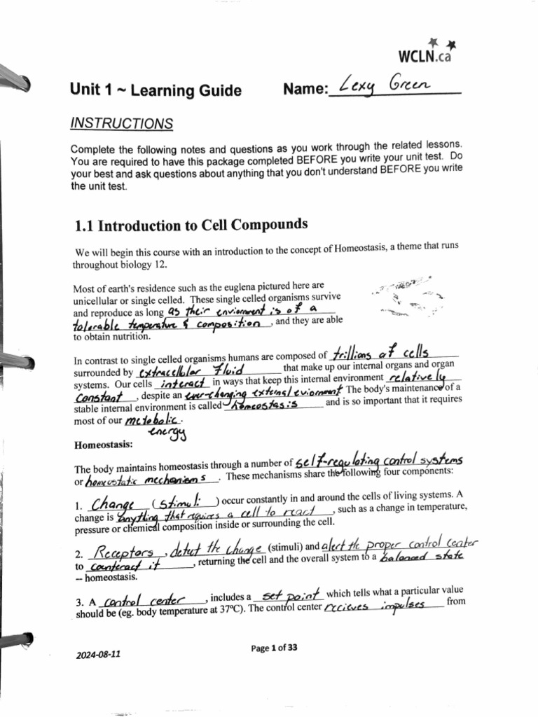 SAIL UNIT 1 Learning Guide Completed | PDF