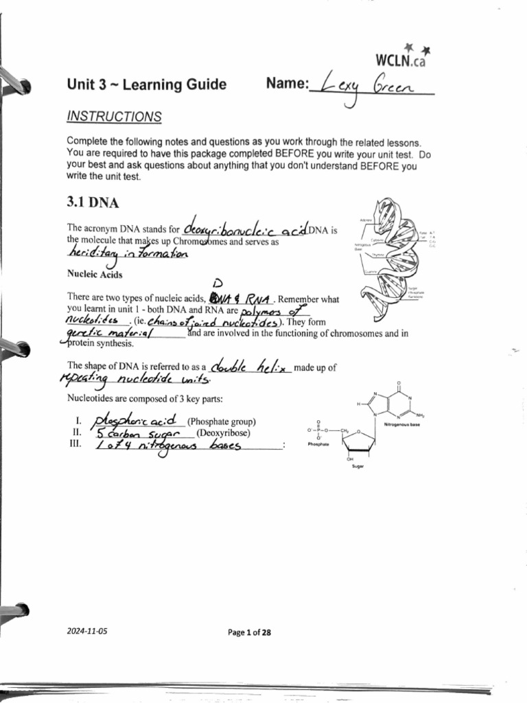 SAIL UNIT 3 Learning Guide Completed | PDF
