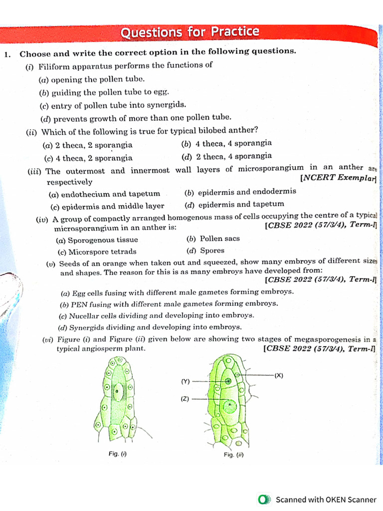 Reproduction Unit | PDF