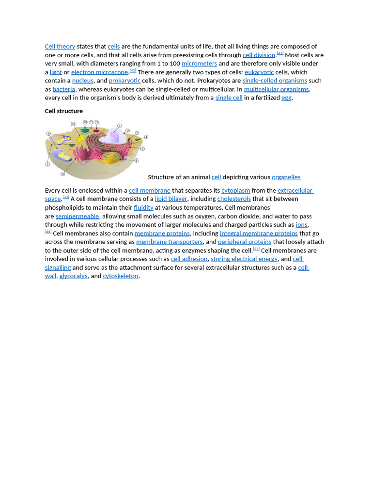 Understanding Cell Structure and Types | PDF