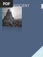 MII Declaration Format | PDF | Procurement | Justice