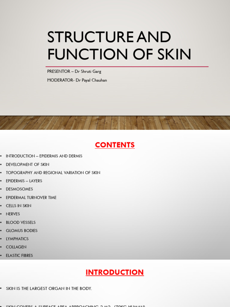 Skin Structure and Function Overview | PDF | Skin | Epidermis