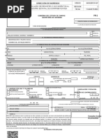 Guia Practica para El Llenado Del Formato Registro Estatal de ...