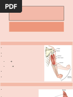 Cbse Class Ix Animal Tissue Flow Chart | PDF | Epithelium | Tissue ...