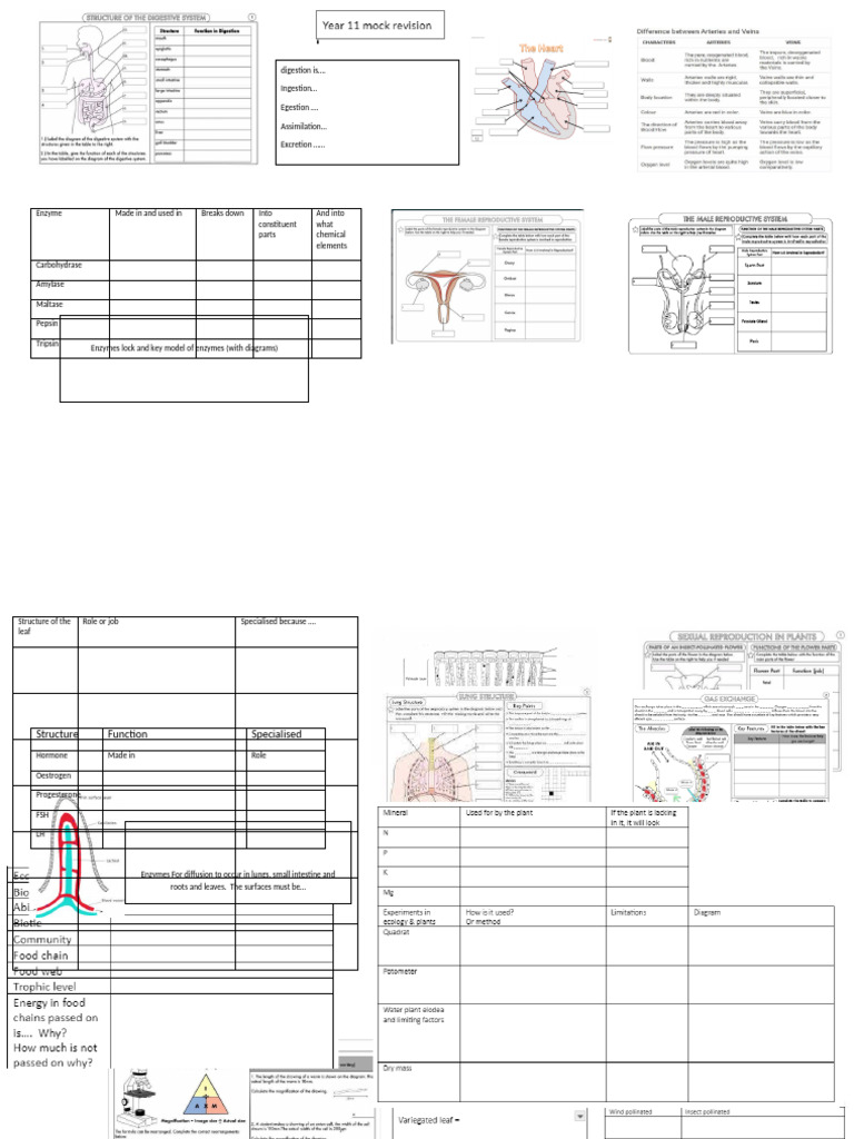 Year 11 Mock Revision A3 Sheet | PDF