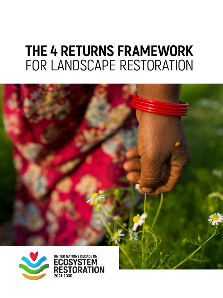 4 Returns Framework for Landscape Restoration | PDF | Ecological ...