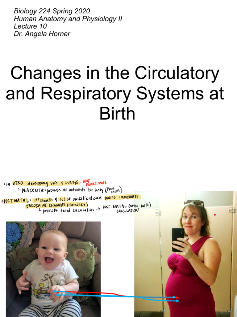 10 - Changes in Cir. and Res. Sys. at Birth | PDF