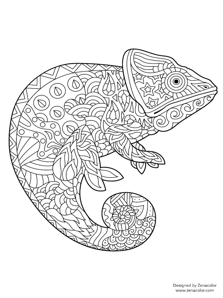 Chameleon | PDF