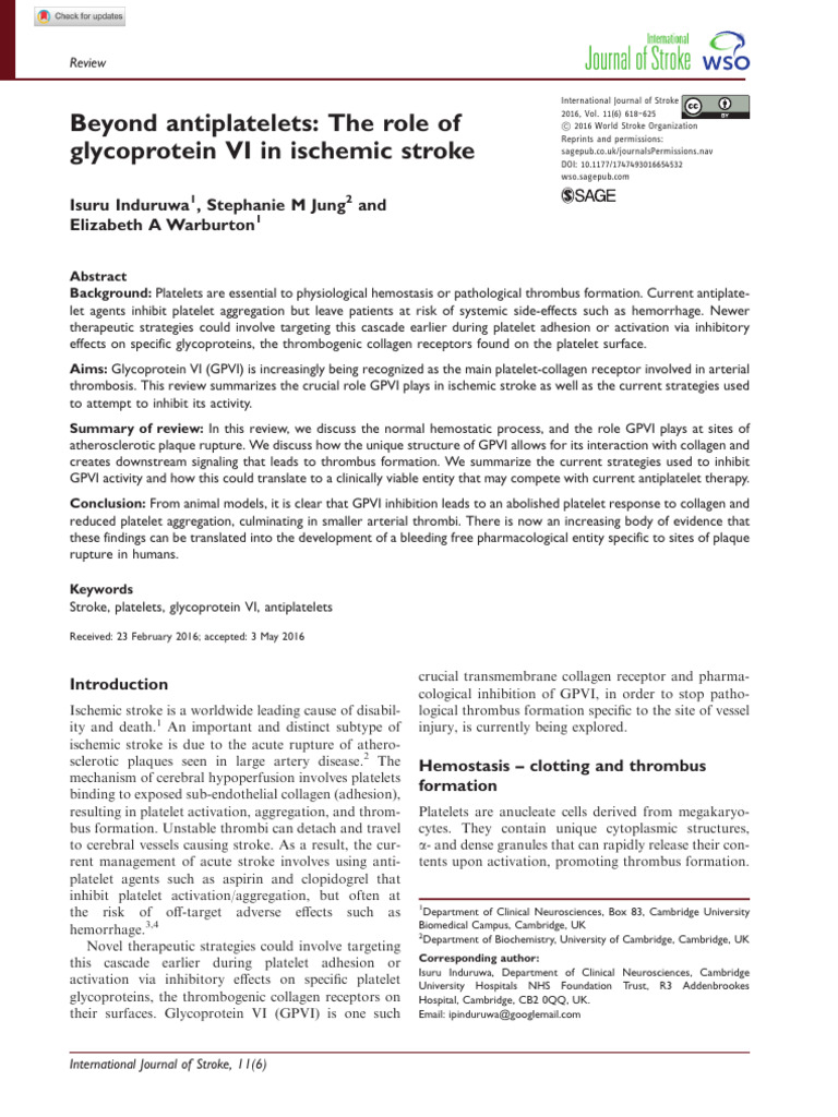 Beyond Antiplatelets The Role of Glycoprotein VI in Ischemic Stroke | PDF | Platelet | Stroke