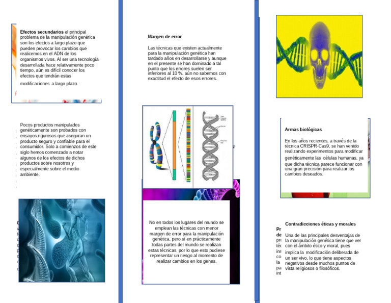 Ventajas y Desventajas del ADN | PDF | Ingeniería genética | Organismos
