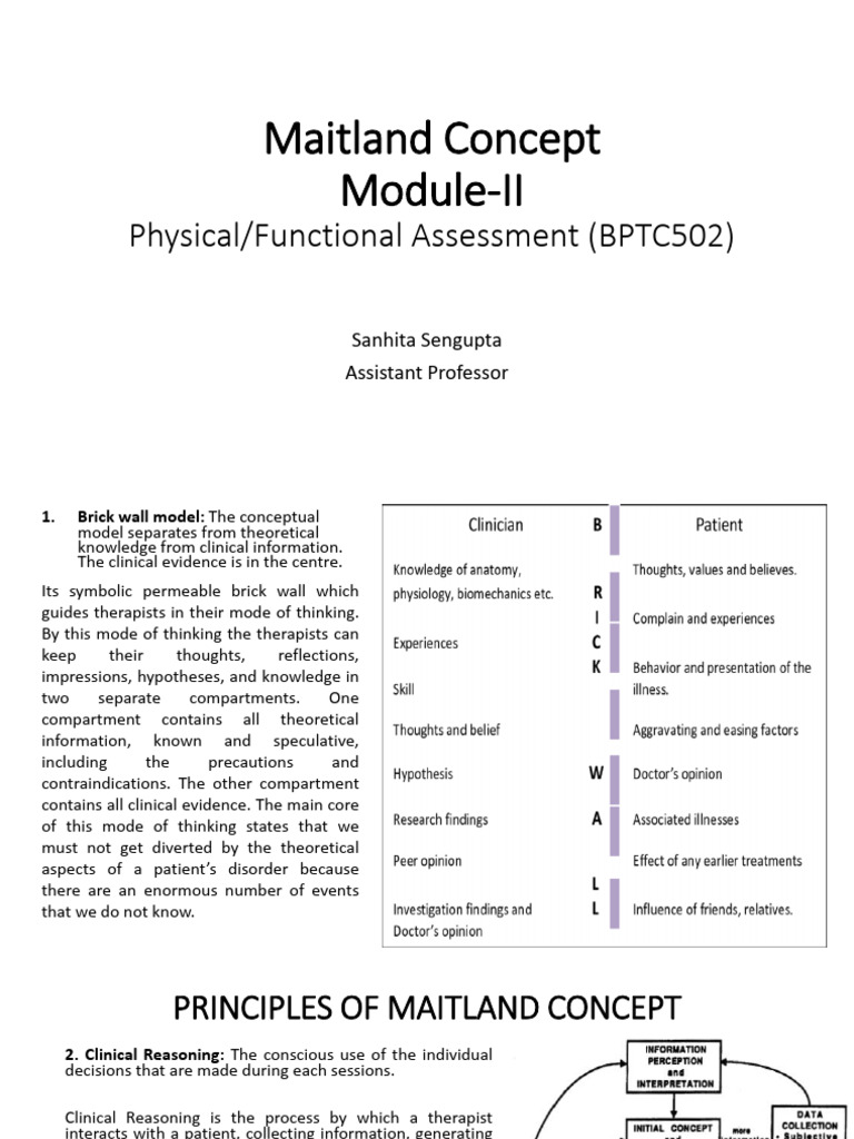 Maitland Concept | PDF | Anatomical Terms Of Motion | Hypothesis