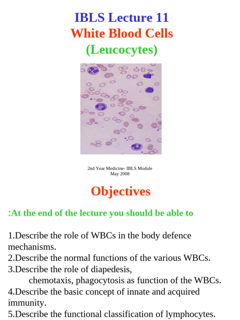 29609_Blood Module 5 WBC 08 | PDF | White Blood Cell | Immune System