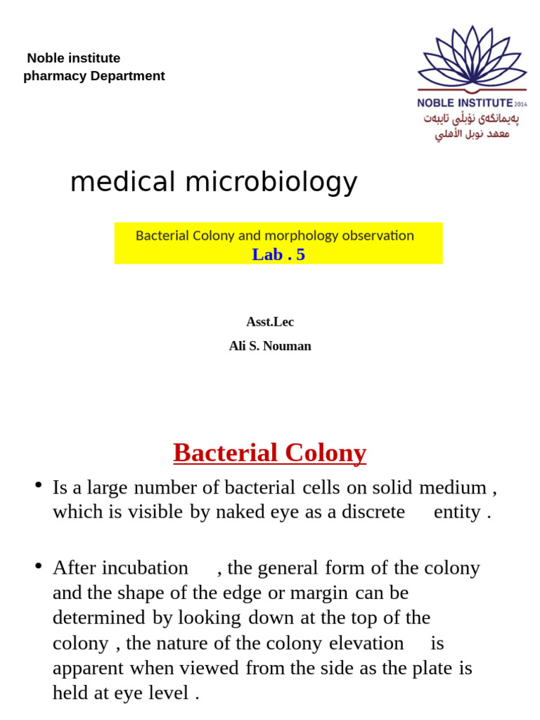 Medical Microbiology Lab5 | PDF