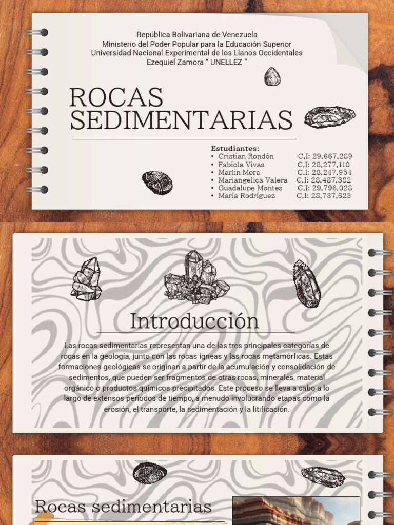 Tipos de Rocas Sedimentarias | PDF