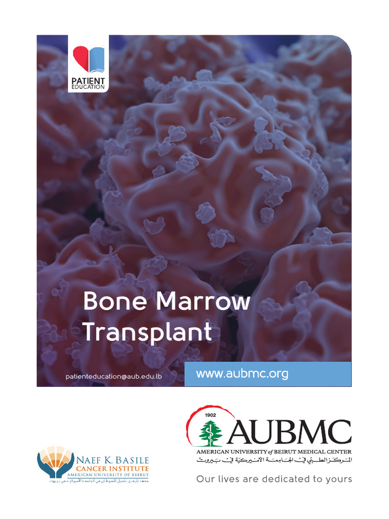 Bone Marrow Transplant - Eng | PDF | Hematopoietic Stem Cell ...