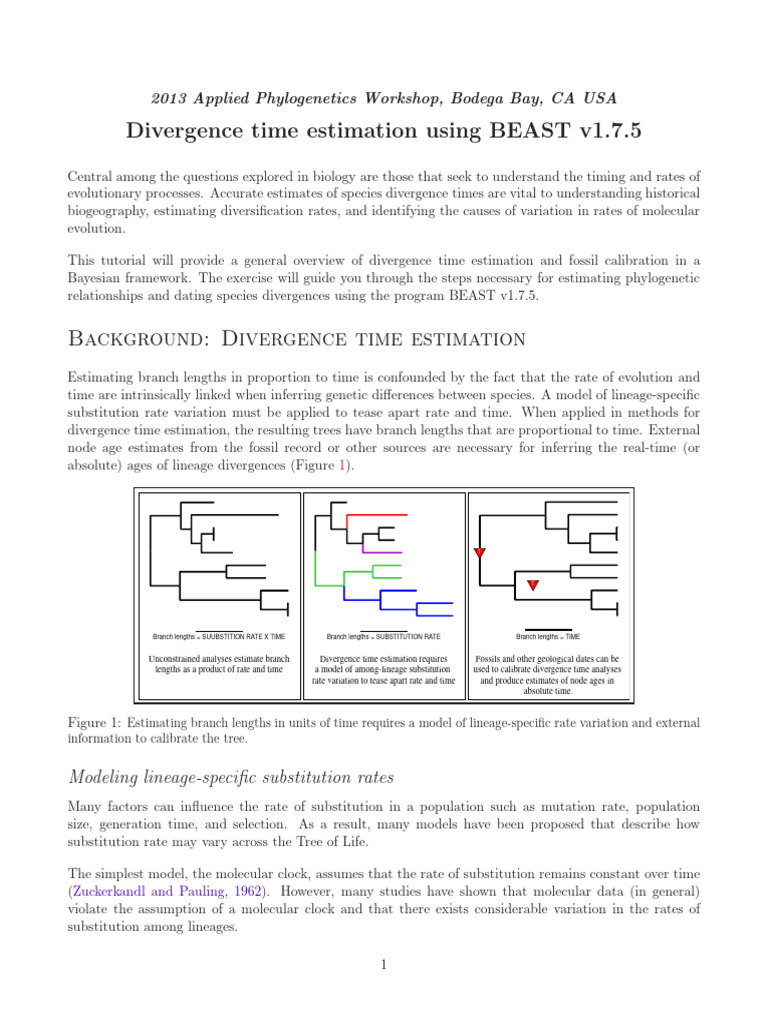Divergence Time Estimation with BEAST | PDF | Normal Distribution ...