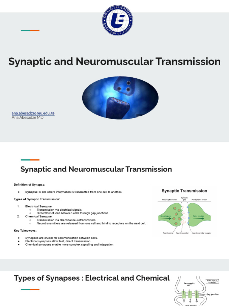 Lecture 9 - Synaptic and Neuromuscular Transmission | PDF | Chemical ...