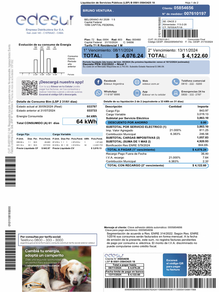 Factura Edesur: Detalles y Vencimientos | PDF | Tarjeta de débito ...