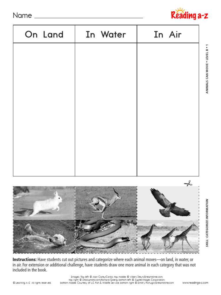 Animais Can Move - Worksheet | PDF | Zoology