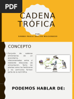 Cadena Alimenticia Acuática y Niveles Tróficos | PDF | Red alimentaria ...