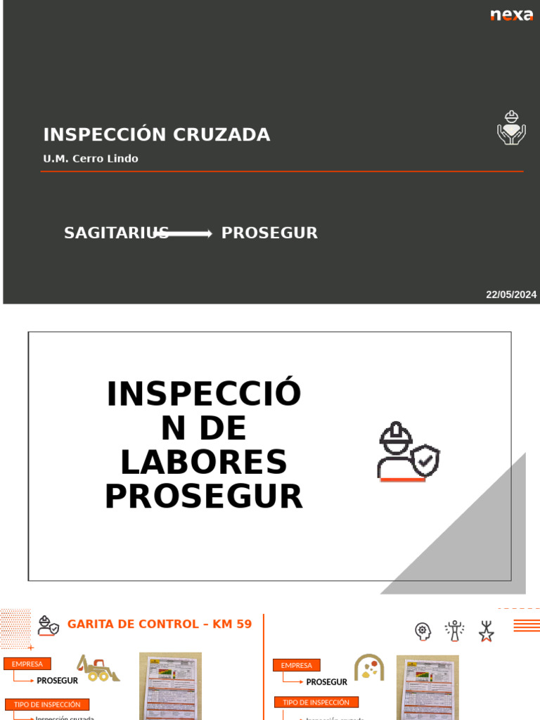 Inspección Cruzada 22 de Mayo - PROSEGUR | PDF