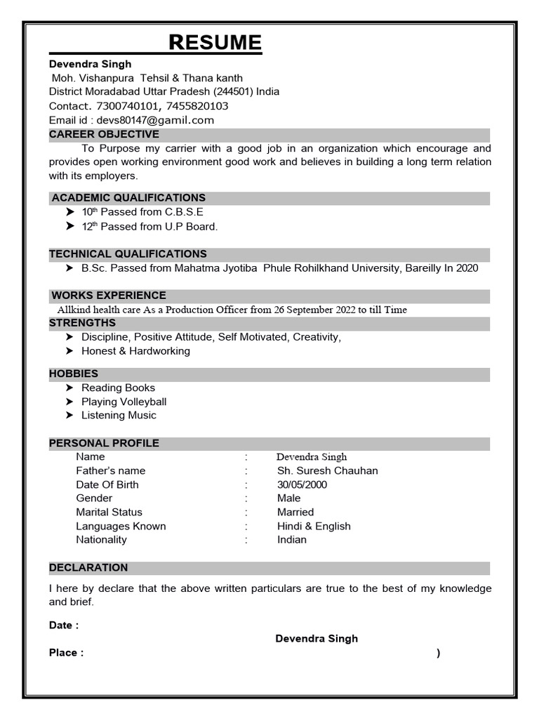 Devendra Singh - Professional Resume | PDF