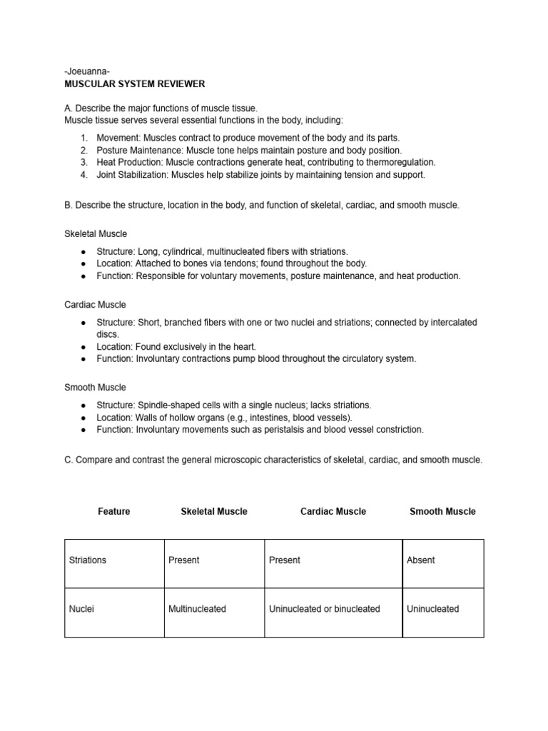 Muscular System Reviewer | PDF | Muscle Contraction | Skeletal Muscle