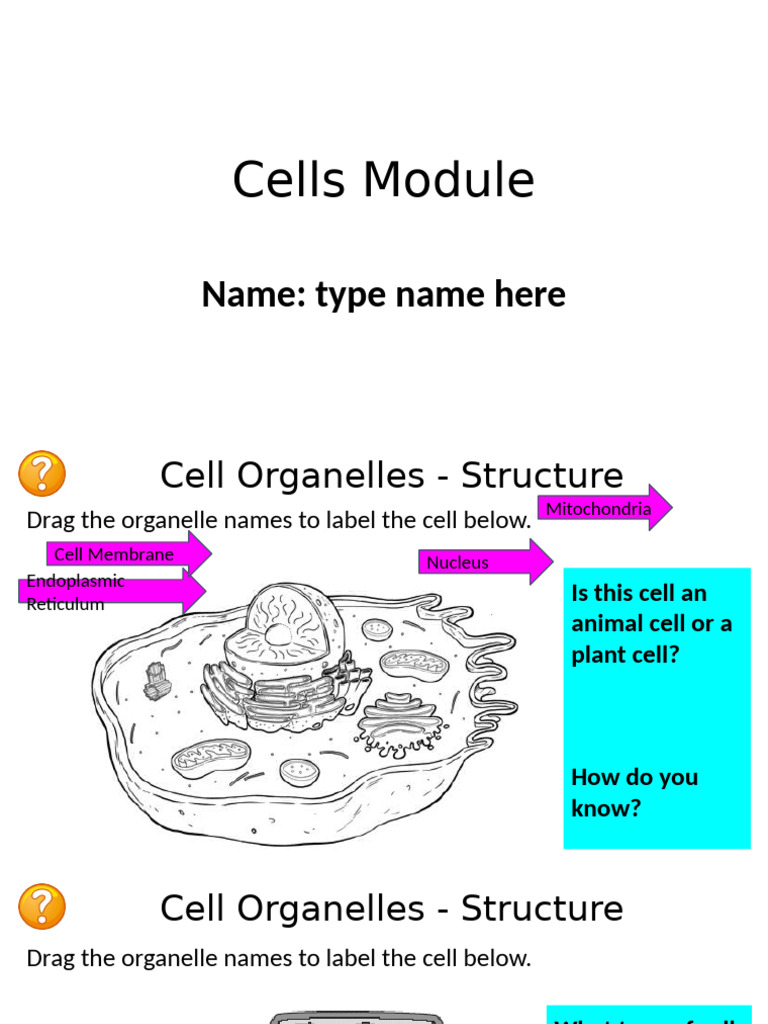 Cells Module | PDF | Cell (Biology) | Chloroplast