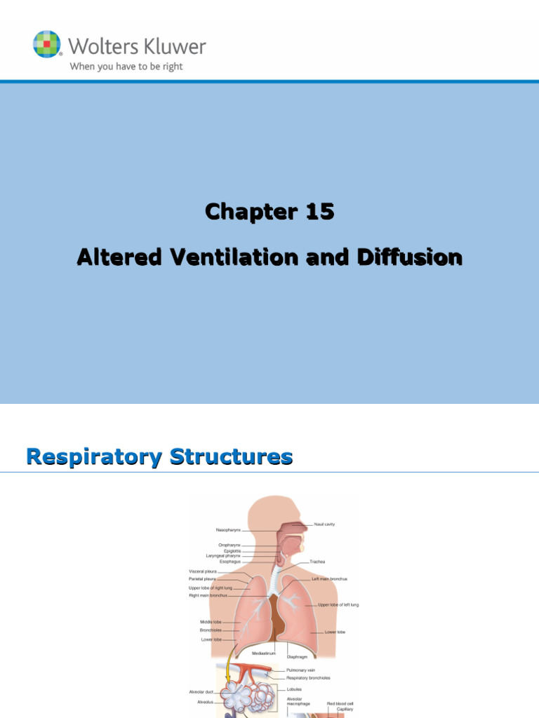 Chapter15 Altered Ventilation and Diffusion | PDF | Breathing | Lung