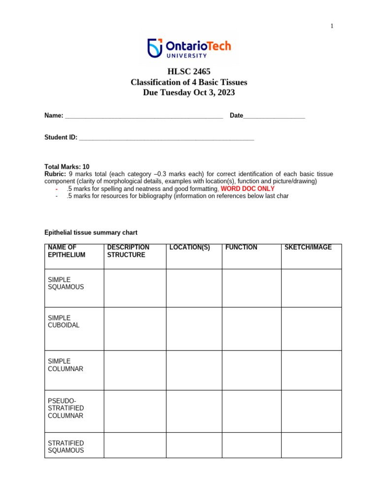 HLSC 4 Basic Tissues Assignment 2023 | PDF | Epithelium | Tissue (Biology)