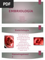 Etapas del desarrollo embrionario del pollo | PDF | Embrión | Huevo