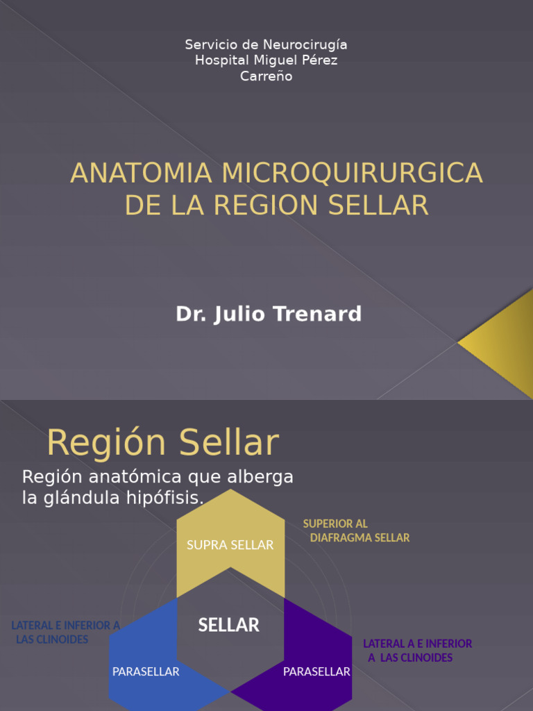 Anatomia Microquirurgica de La Region Selar | PDF | Glándula pituitaria ...