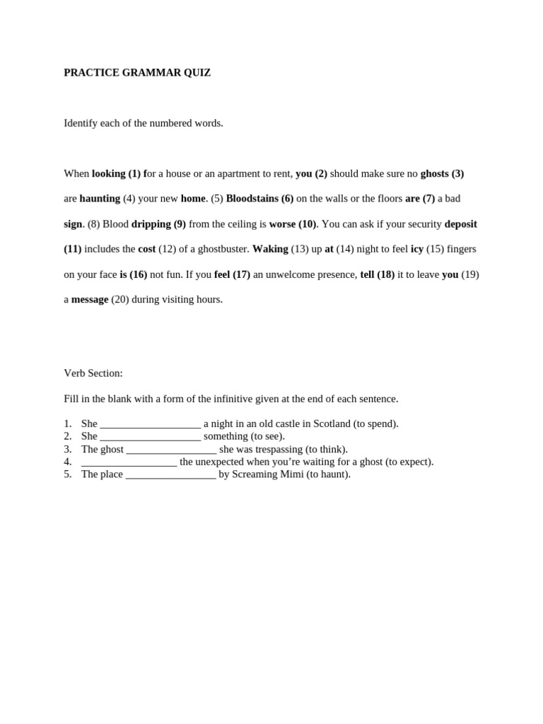 Practice Grammar Quiz | PDF