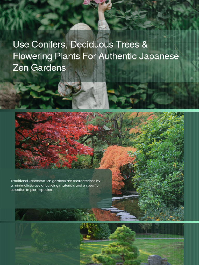 Japanese Zen Garden Plant Guide | PDF