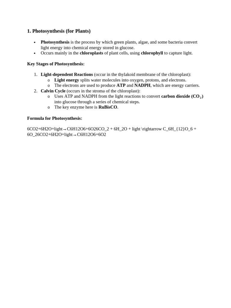 Photosynthesis Process Overview | PDF