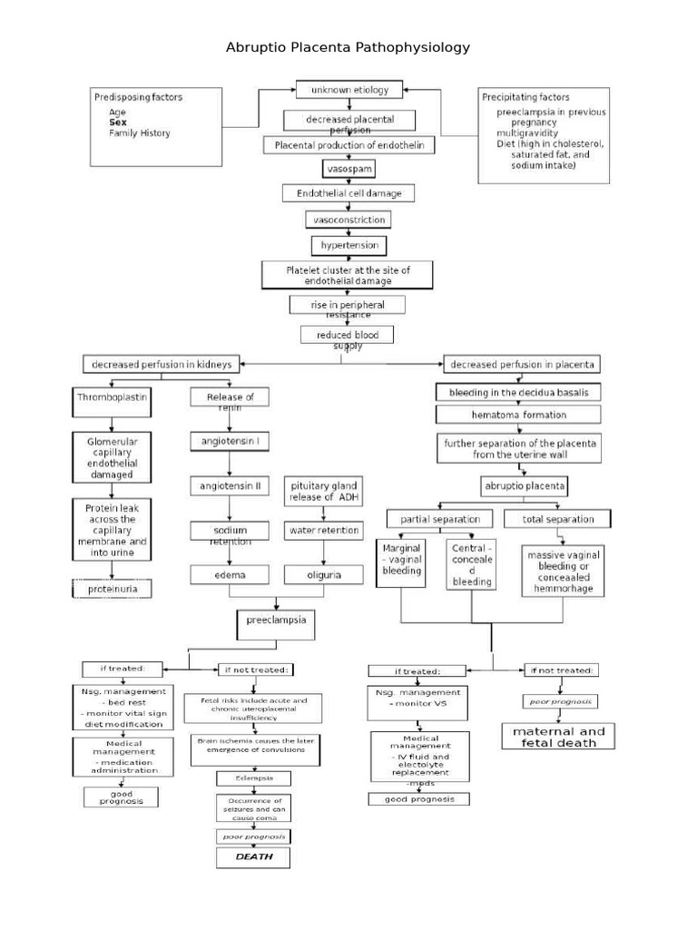Abruptio Placenta Pathophysiology | PDF